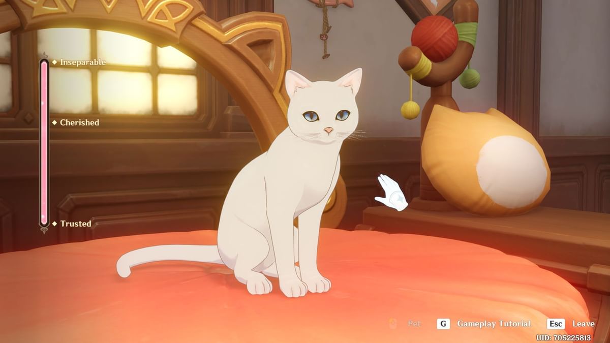 Genshin Impact Feline Fortress cat event: All 5 cat petting guide with ...