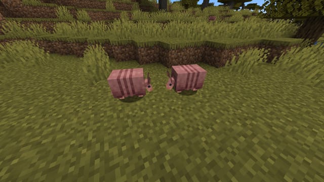 How to breed armadillos in Minecraft