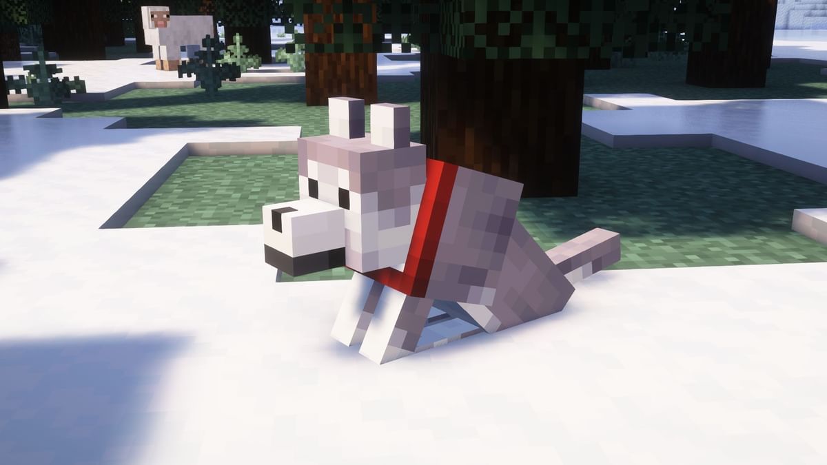 Ranking every Minecraft wolf variant based on their rarity