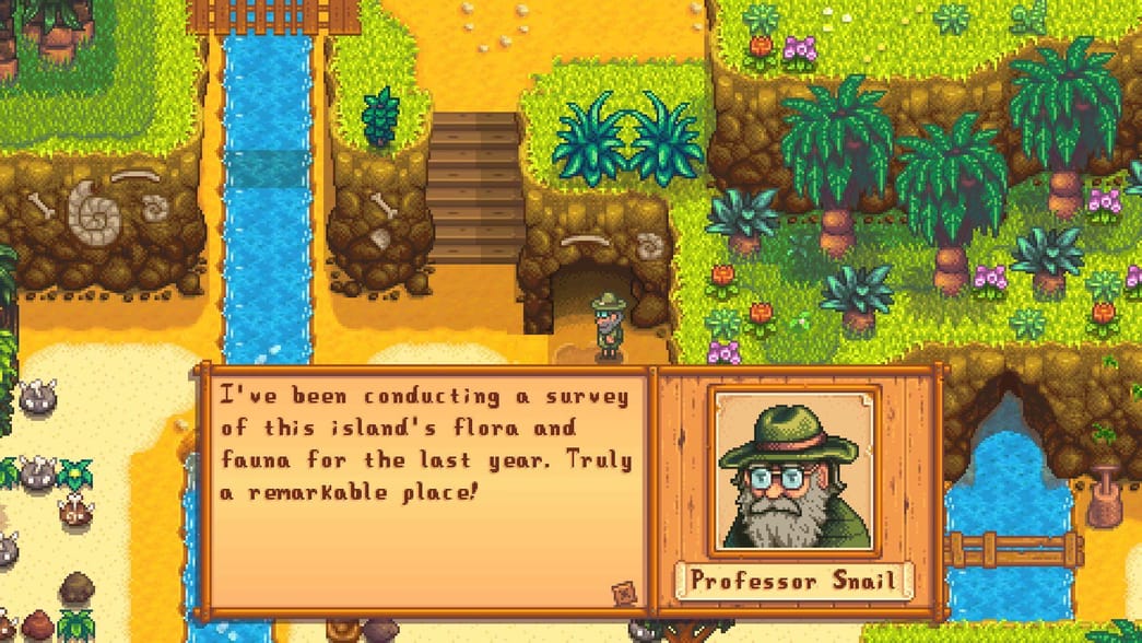 Purple Flowers: All Purple Flowers and Purple Starfish in Stardew Valley