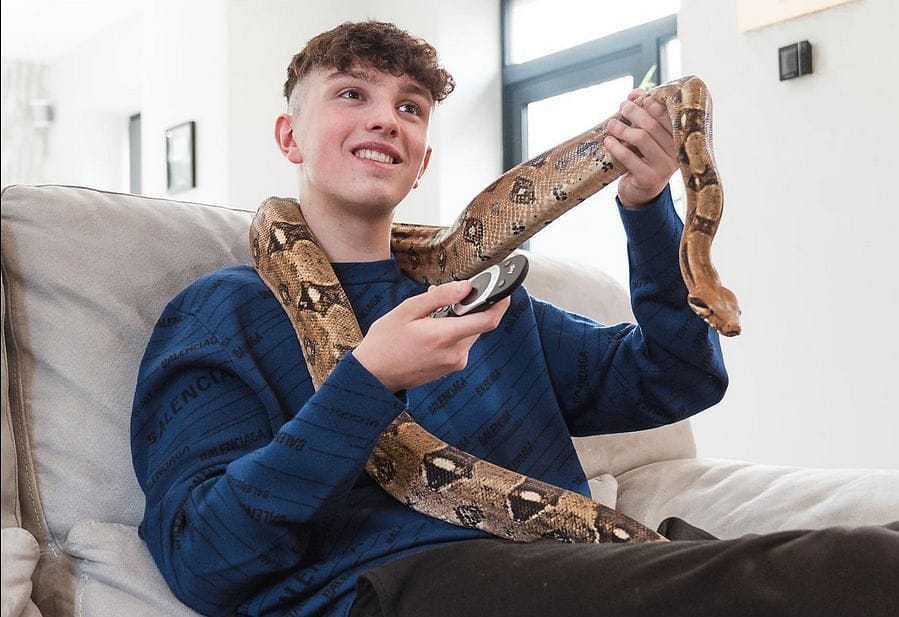How much is Morgz’s Net Worth in 2024?