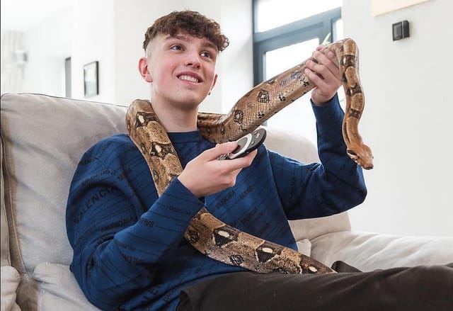 How much is Morgz’s Net Worth in 2024?
