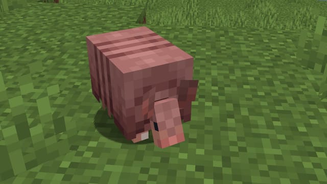 Where do armadillos spawn in Minecraft?