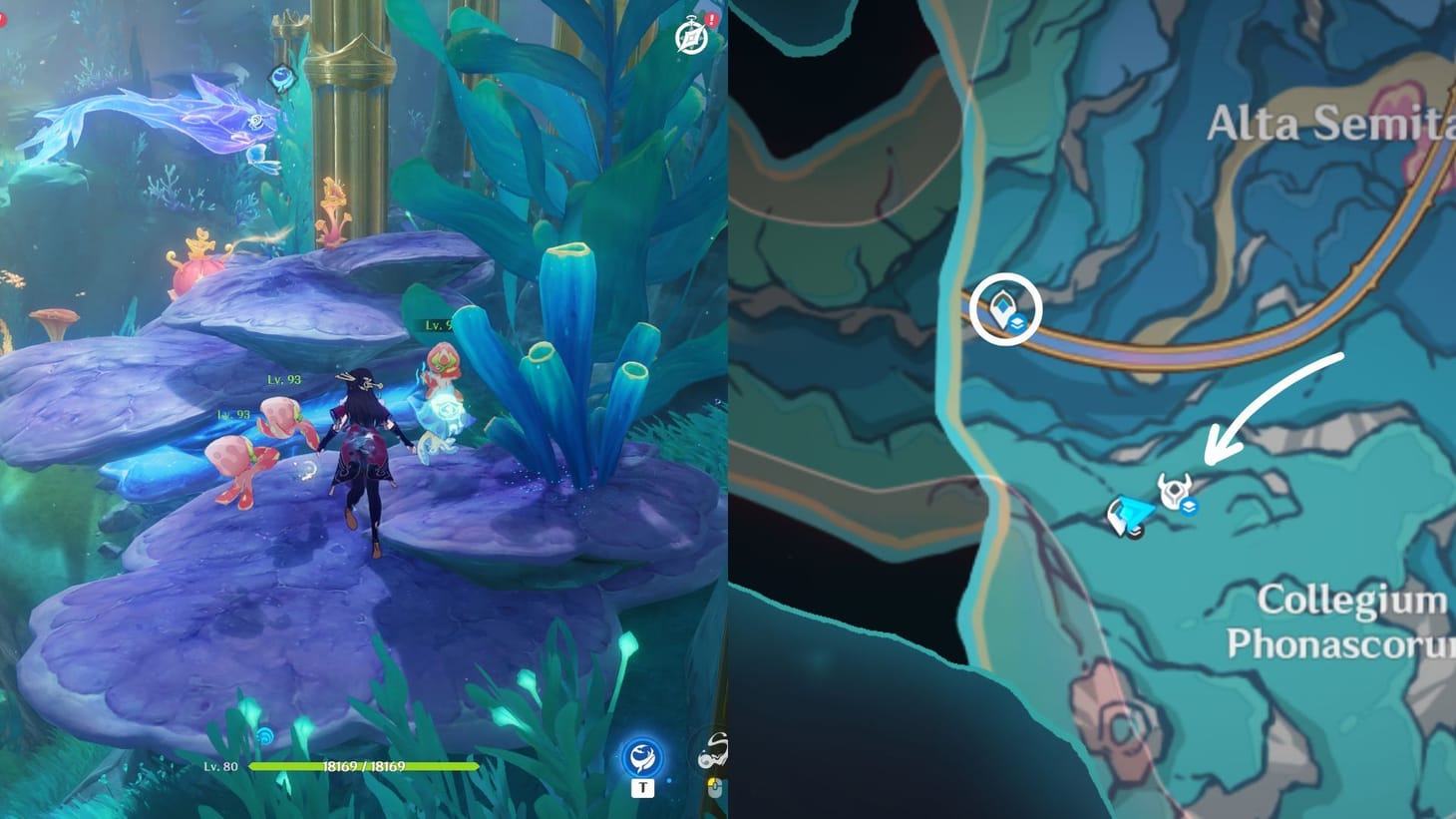 Genshin Impact Washer Octopus puzzle locations
