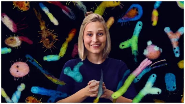 What is Netflix’s Hack Your Health: The Secrets of Your Gut about? All ...