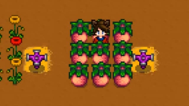 5 Best Summer Crops in Stardew Valley, ranked