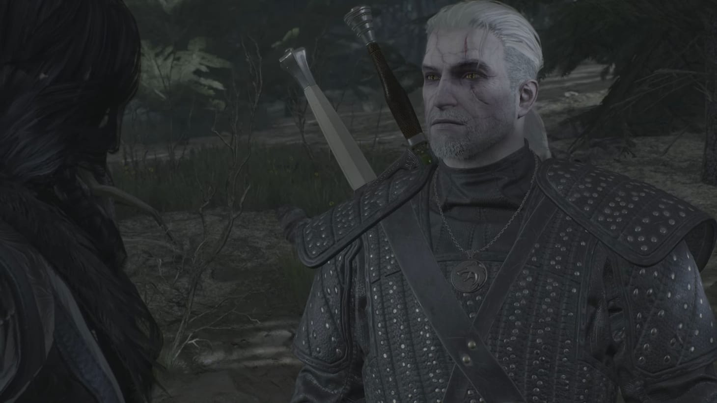 15 most useful Skills in The Witcher 3