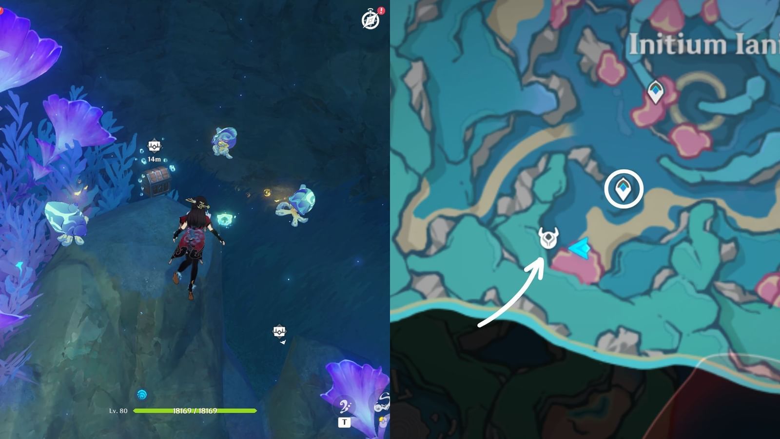 Genshin Impact Washer Octopus puzzle locations