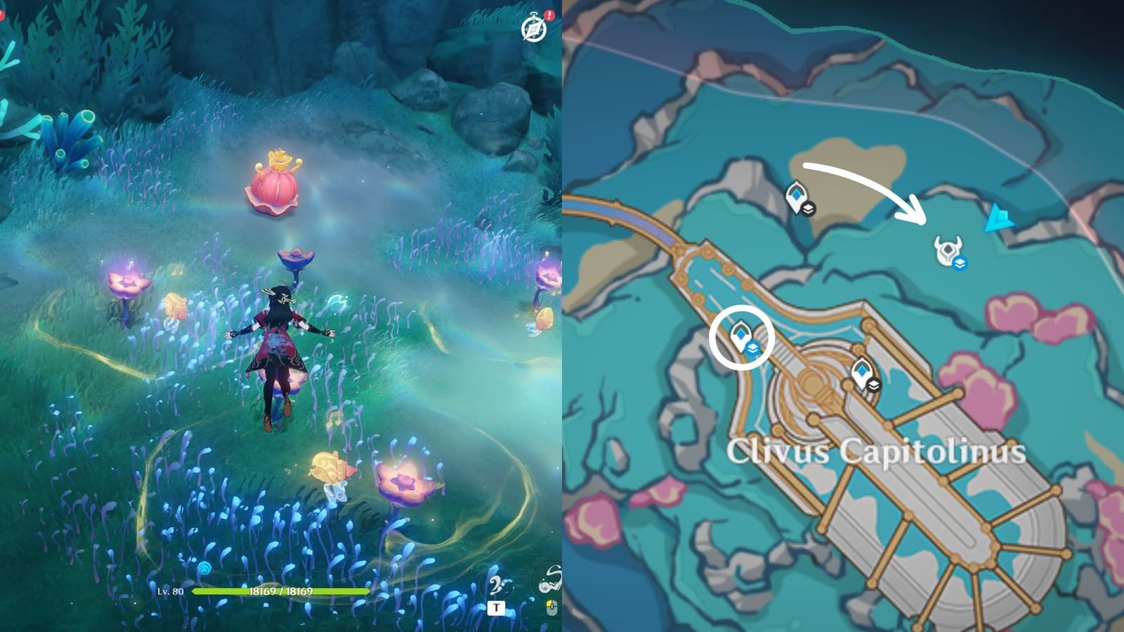 Genshin Impact Washer Octopus puzzle locations