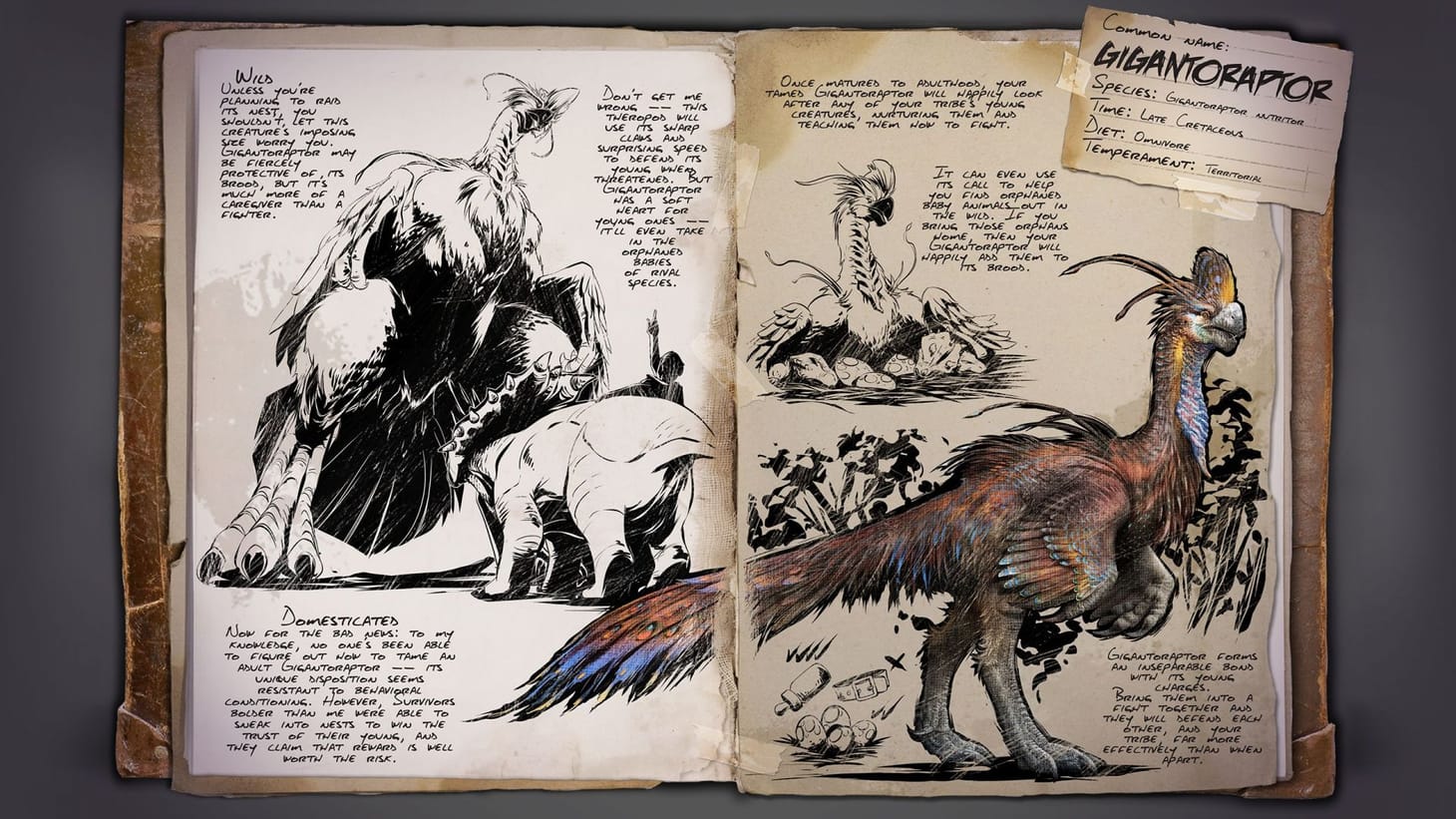 All ARK Survival Ascended Explorer Note locations in The Island