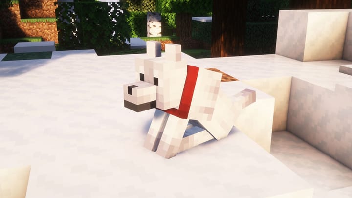 Ranking every Minecraft wolf variant based on their rarity