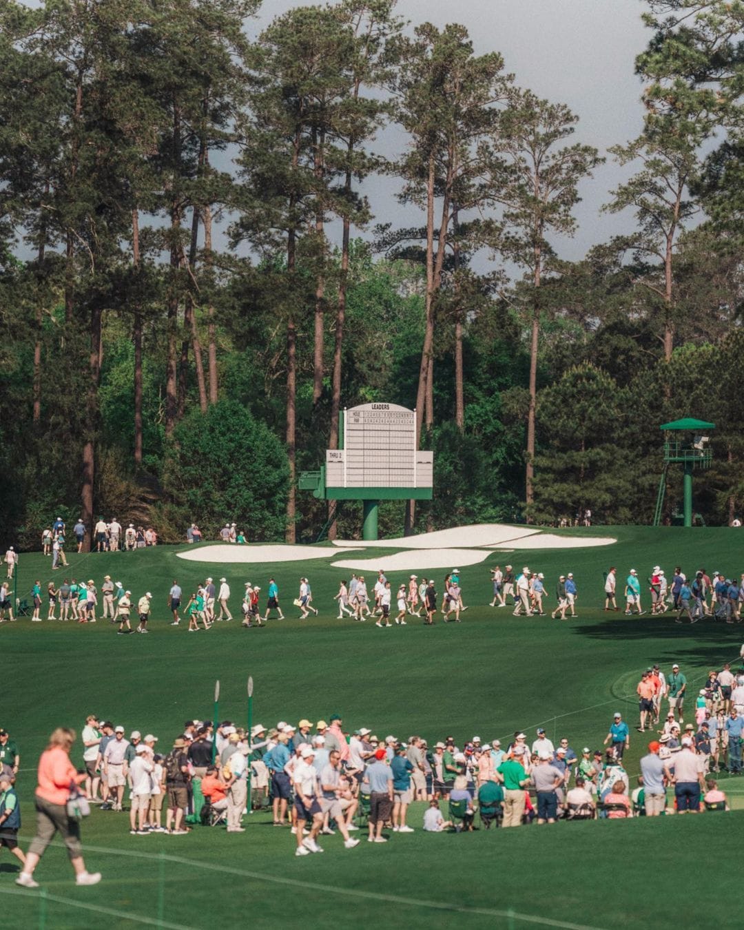 What are Masters fans called?