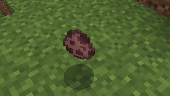 Where do armadillos spawn in Minecraft?