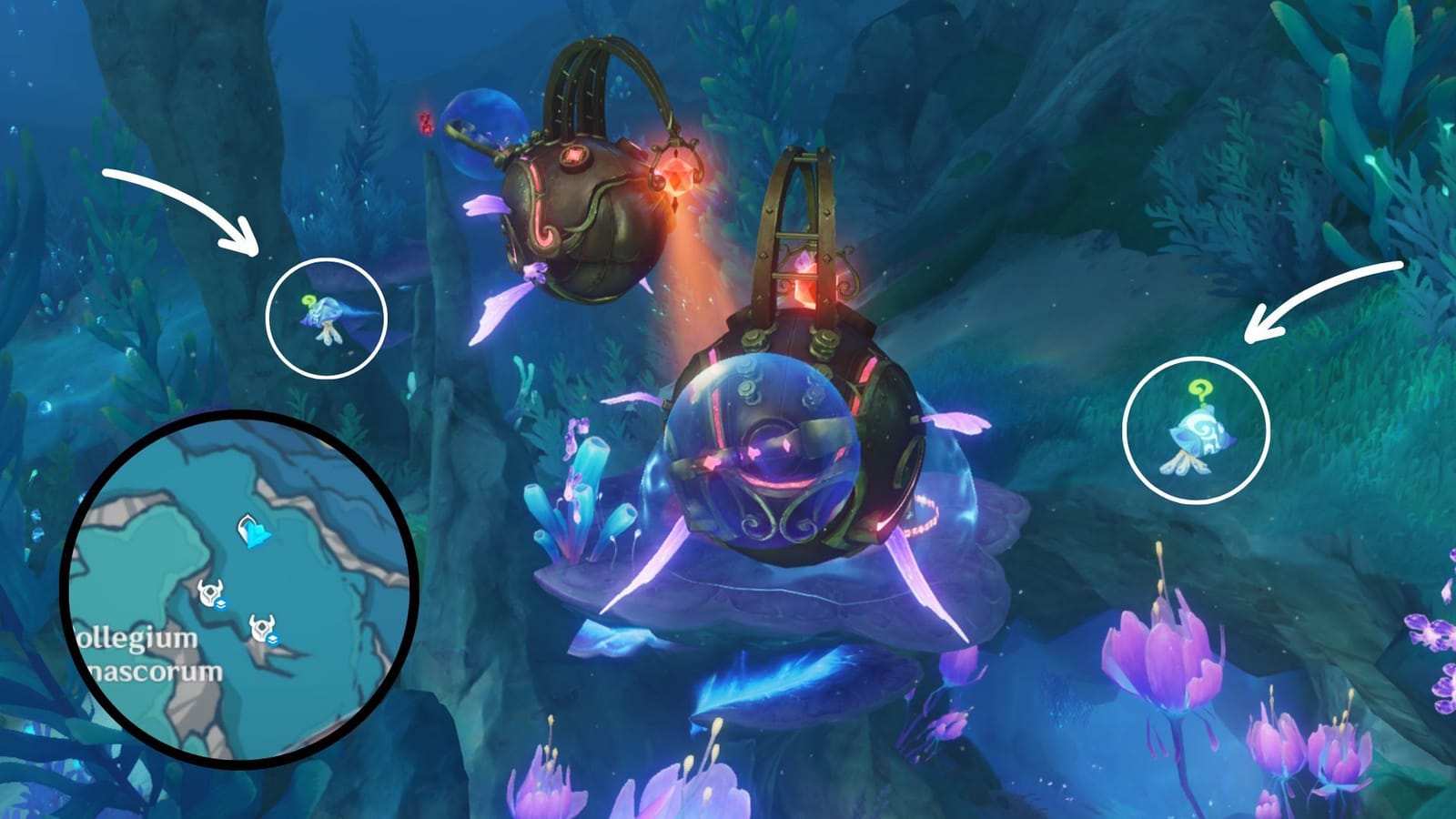 Genshin Impact Washer Octopus puzzle locations