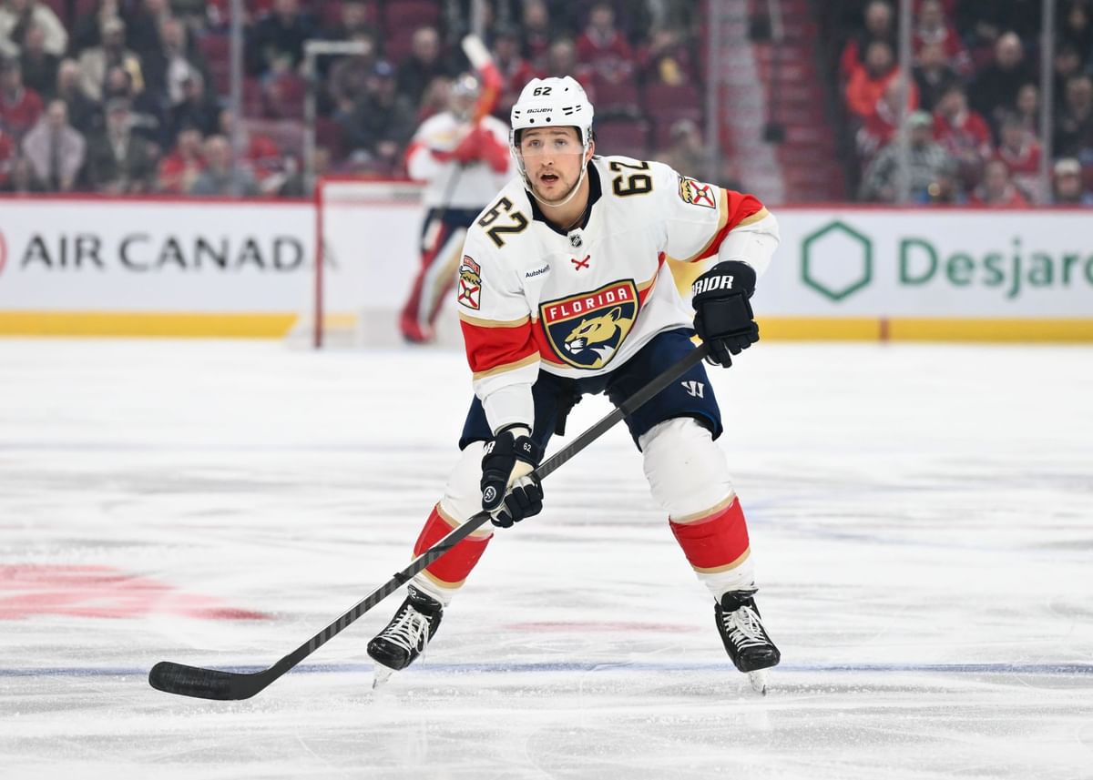 Who Are Brandon Montour’s Parents? Age, Nationality & More