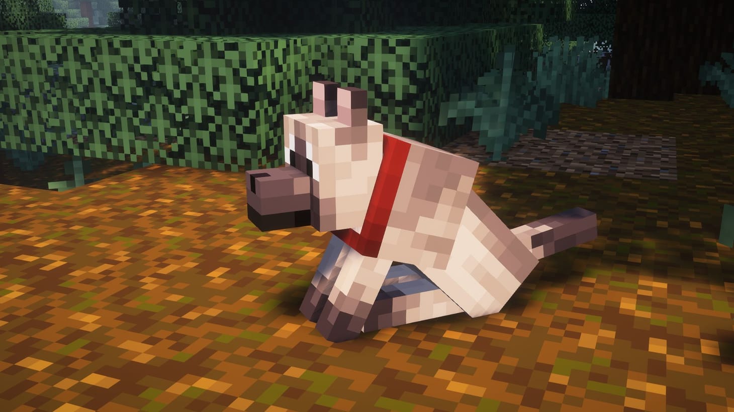 Ranking every Minecraft wolf variant based on their rarity