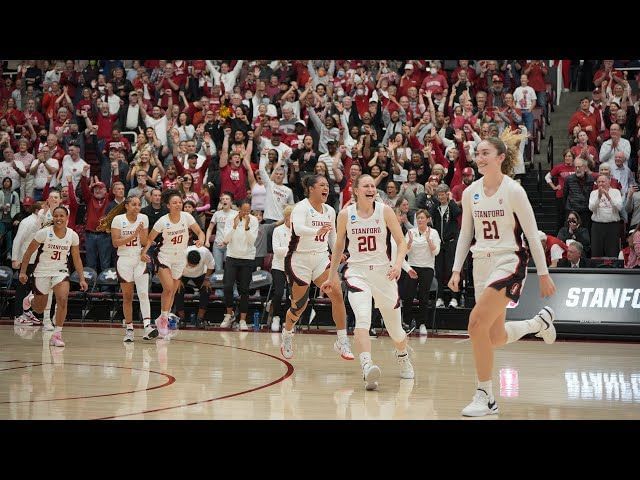 Top 5 schools with the most overall WNBA Draft picks