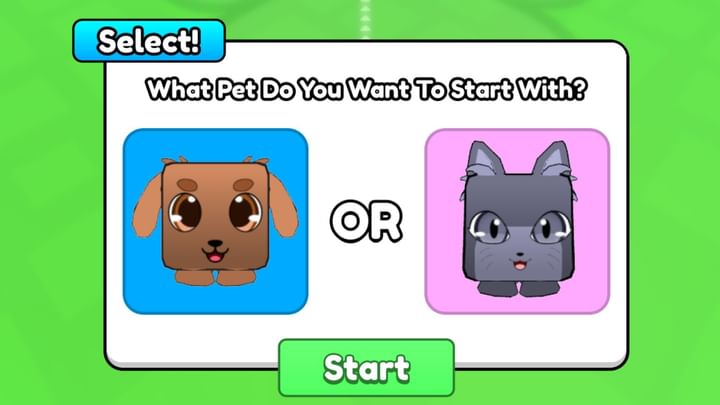 Roblox Pet Racer Simulator Codes