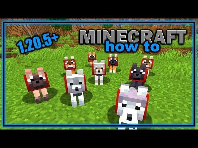 When could Minecraft 1.20.5 update come out?