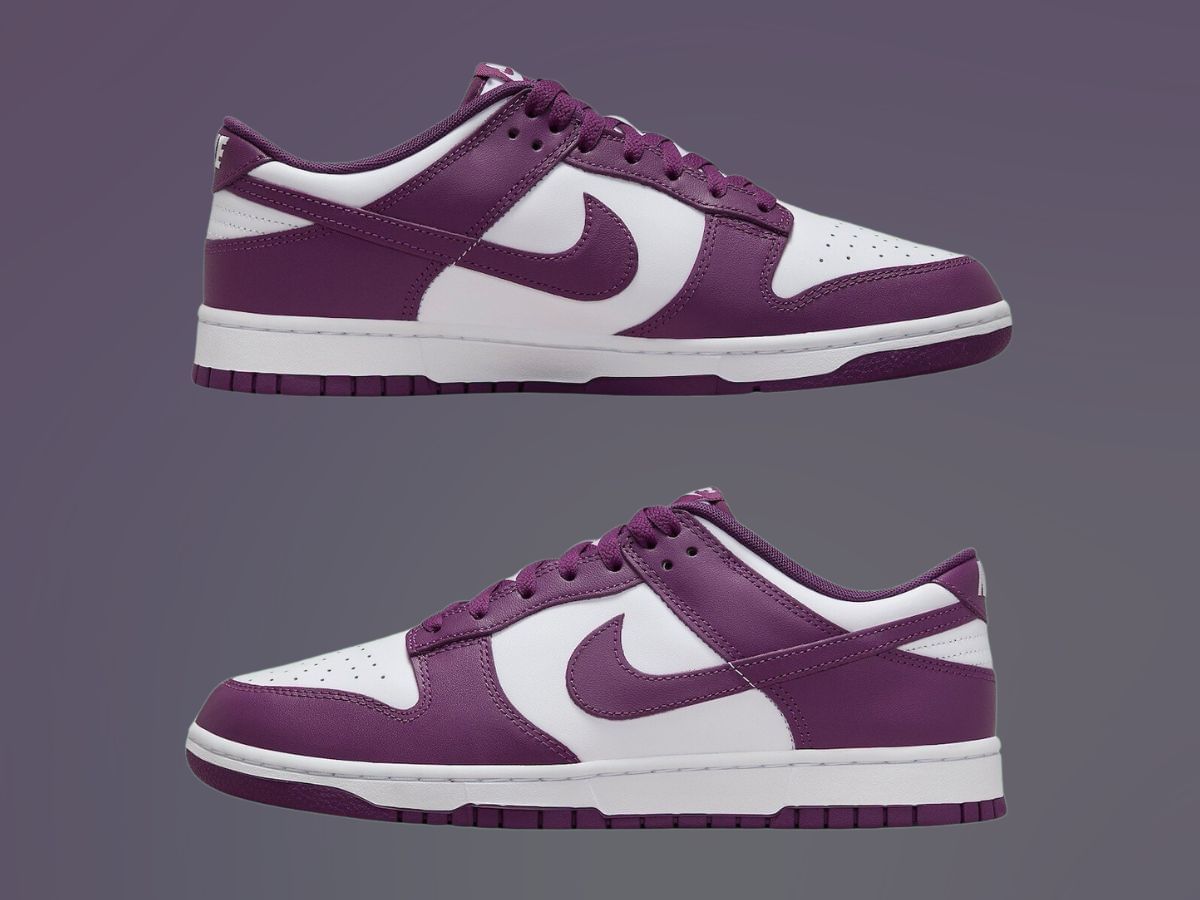 Nike Dunk Low “Viotech” sneakers: Features explored
