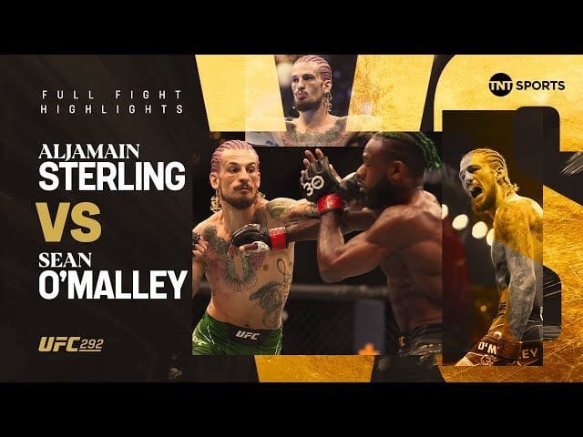 5 questions that could be answered at UFC 300