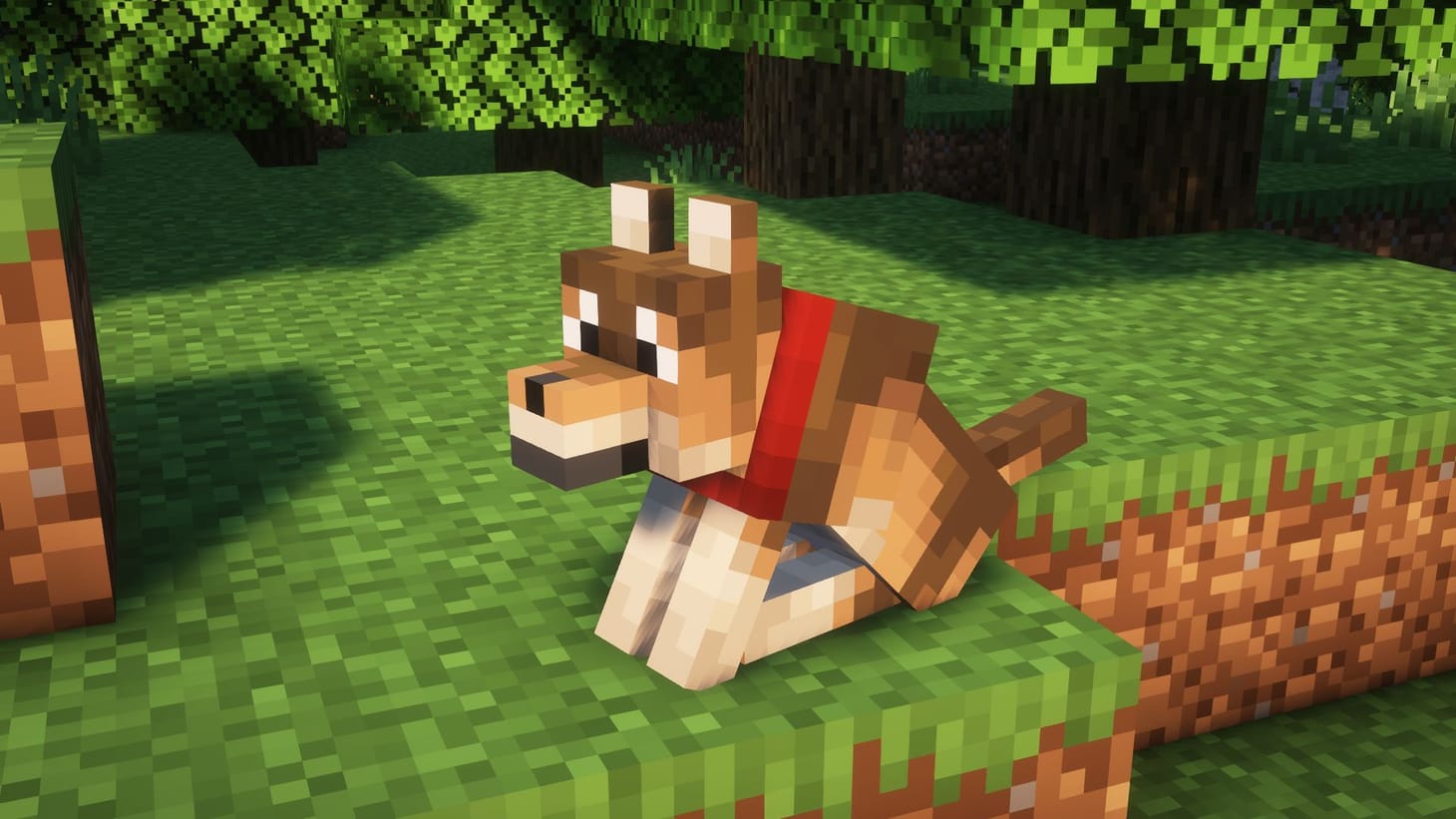 Ranking every Minecraft wolf variant based on their rarity