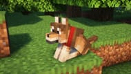 Ranking every Minecraft wolf variant based on their rarity