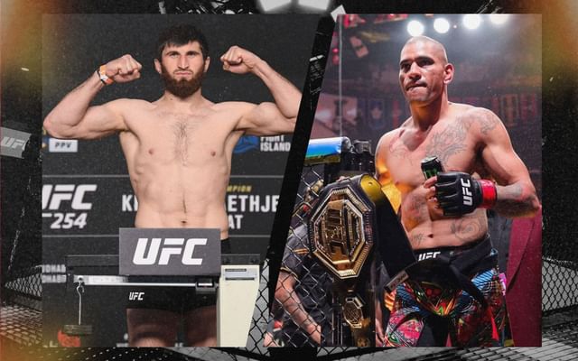 Magomed Ankalaev demands title shot against Alex Pereira next, predicts ...