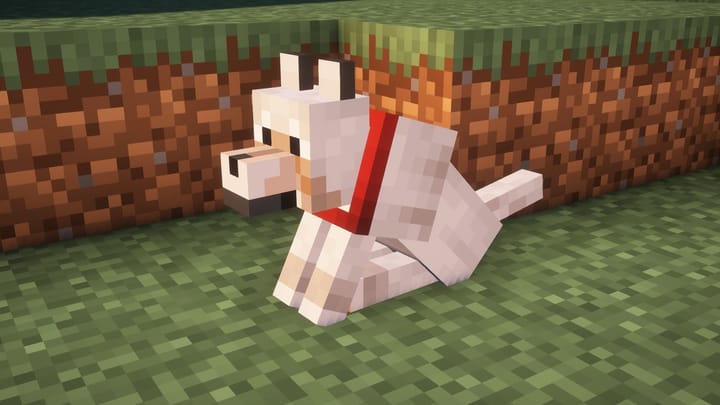 Ranking every Minecraft wolf variant based on their rarity