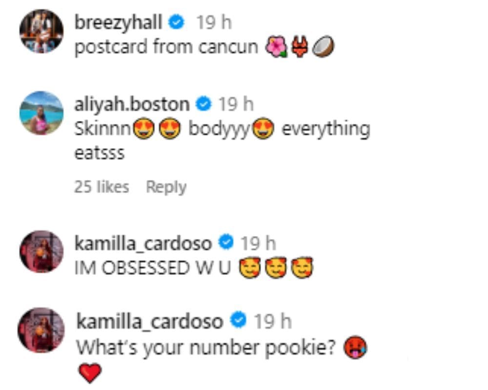 Bree Hall: “What’s your number pookie?” - Chicago Sky star Kamilla ...