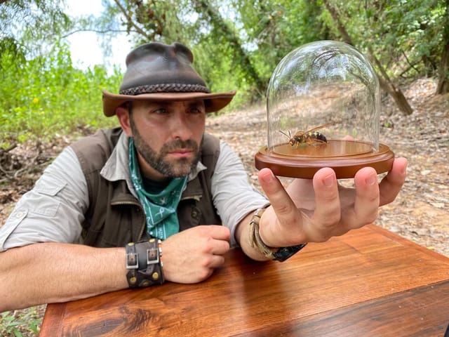 Who is Brave Wilderness?