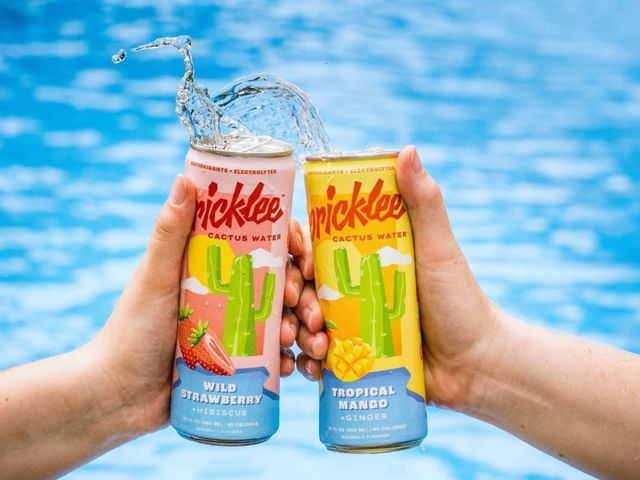 What happened to Pricklee after Shark Tank? Details explored