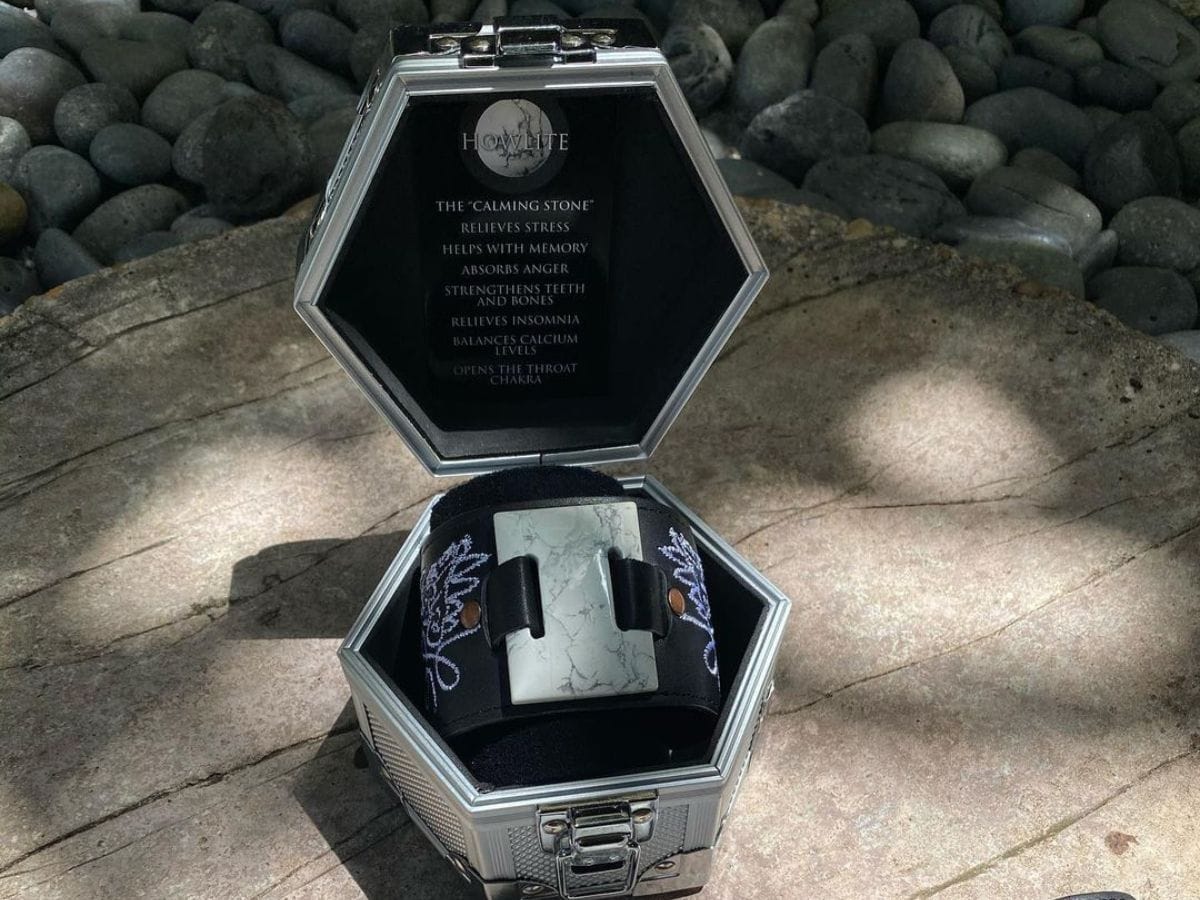 What happened to Rock Bands after Shark Tank? Details explored