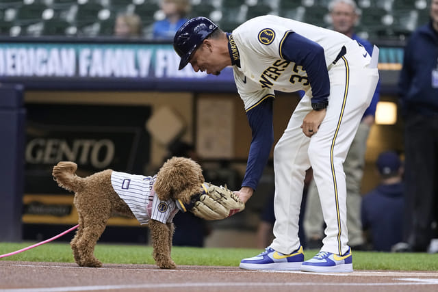 WATCH: Brewers fans celebrate special pet-dog friendly 'Bark at the ...