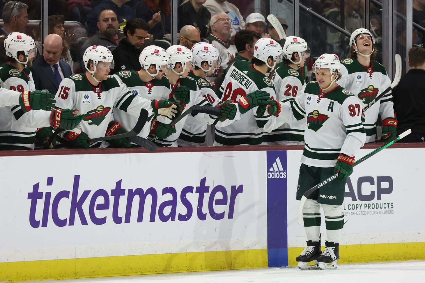 Minnesota Wild Playoff History