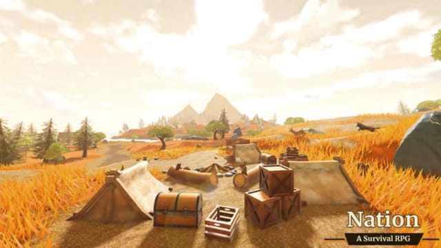 Nation Survival: A Beginner’s Guide