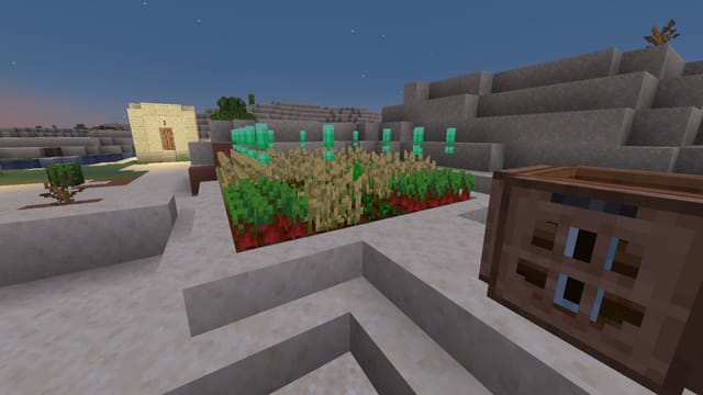 How to get beetroot seeds in Minecraft