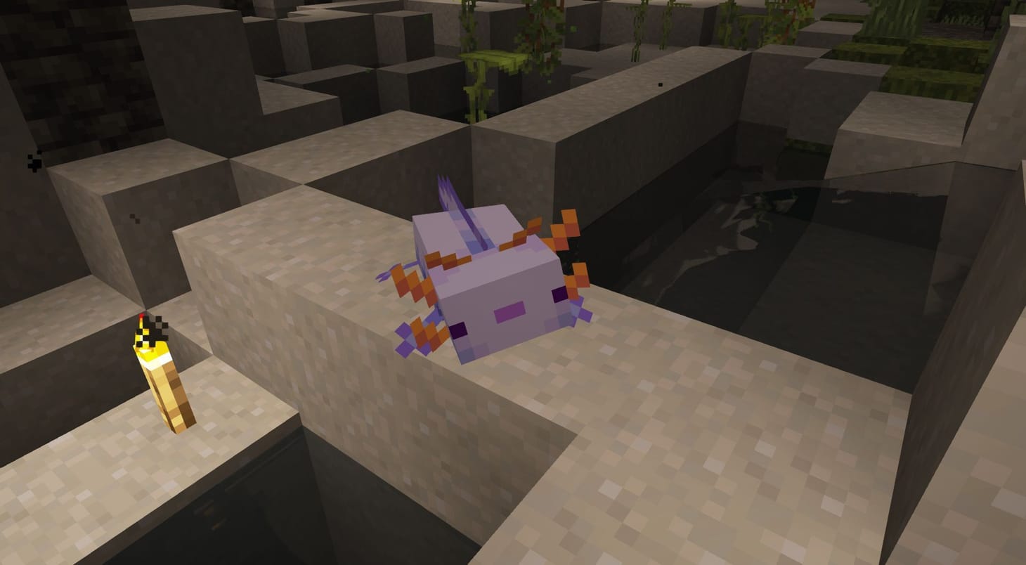 5 rarest mob variants in Minecraft