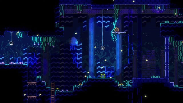 How to obtain the map in Animal Well