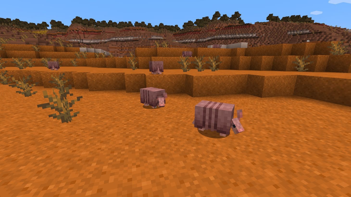 What do armadillos eat in Minecraft?