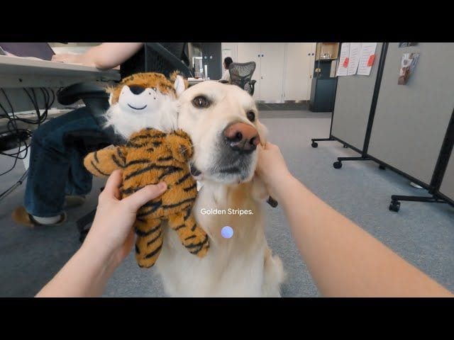 Google makes Tony Stark's EDITH glasses a reality: AI features, demo ...