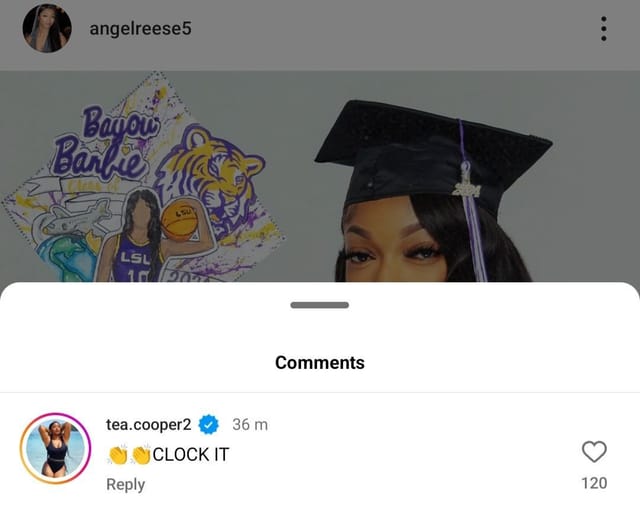 Coco Gauff, La La Anthony and other stars wish Chicago star Angel Reese ...