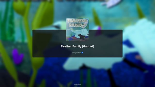 Feather Family: A Definitive Guide