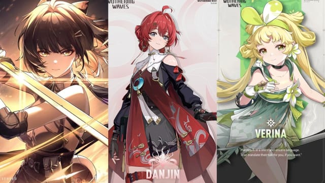 Best Havoc Rover build in Wuthering Waves: Echoes, weapons, team comps ...