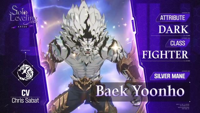Solo Leveling Arise Silver Mane Baek Yoonho build guide: Best artifacts ...