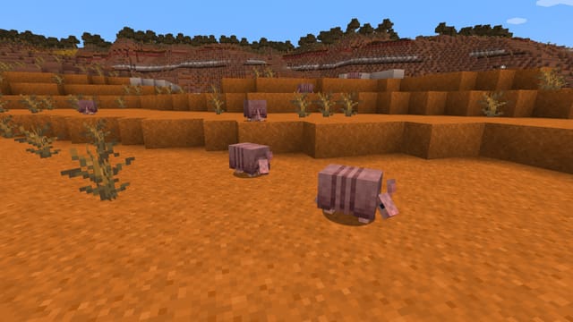 How to find armadillo in Minecraft