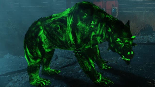 Fallout 76: Where to find Yao Guai