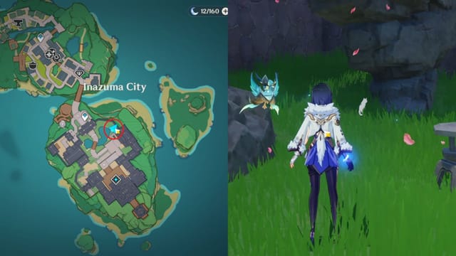 How to photograph 2 types of cats in Genshin Impact