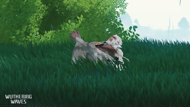 Wuthering Waves Sierra Gale Echo locations and farming route