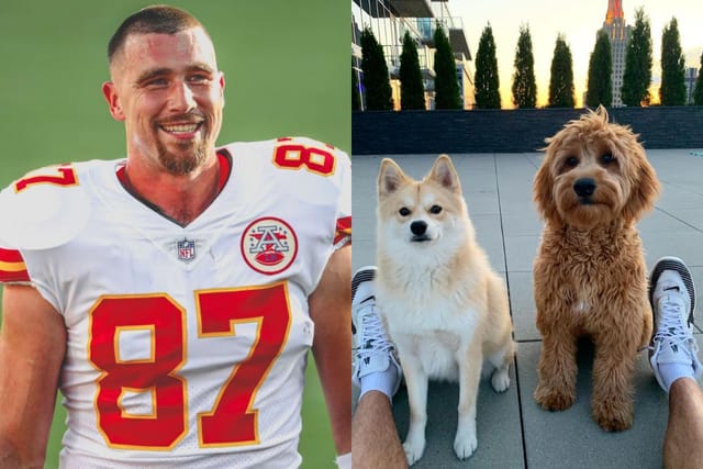 How many dogs does Travis Kelce have? All about Chiefs TE's pets